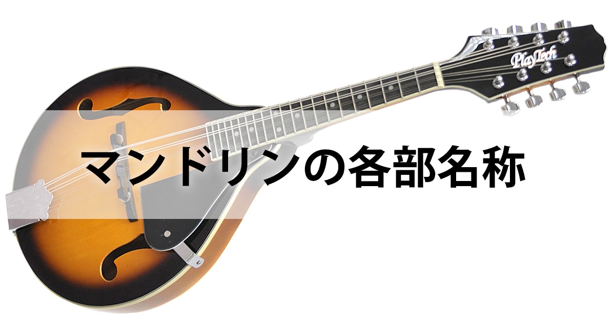 Name of the parts of the mandolin｜Sound House
