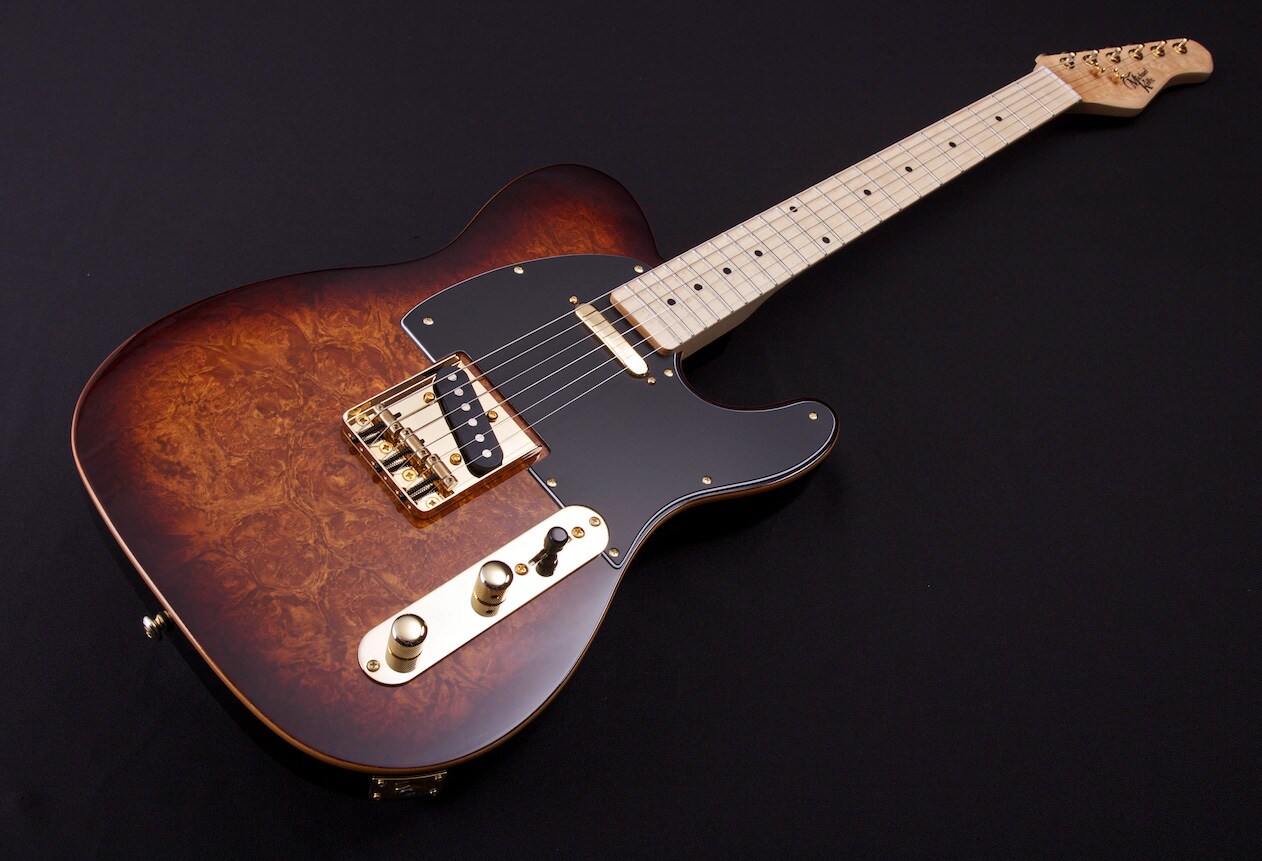 Michael Kelly Guitars ( マイケルケリーギターズ ) Custom Collection 50 Burl Burst ...