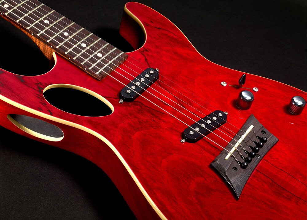 Michael Kelly Guitars ( マイケルケリーギターズ ) Ele Gtr Hybrid 60 Fotre Port ...