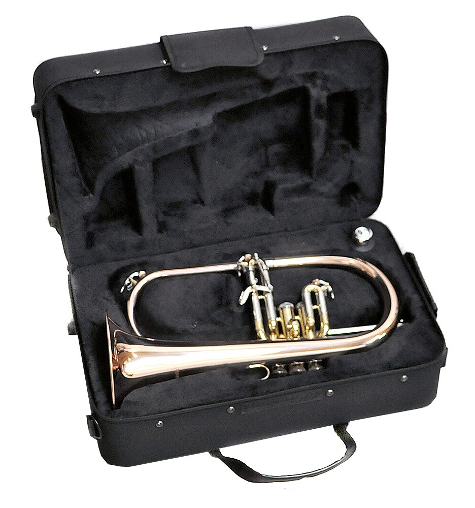 PLAYTECH ( プレイテック ) >フリューゲルホルン PTFH-300 送料無料 | サウンドハウス