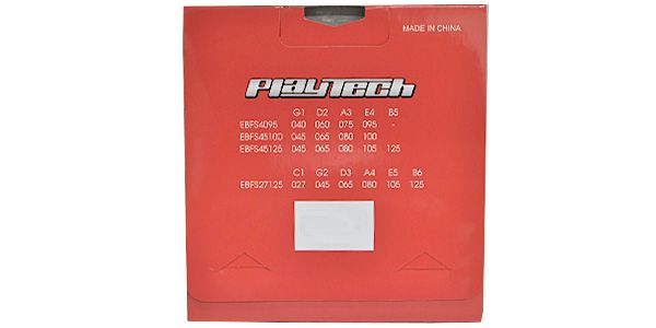 PLAYTECH EBFS45100 | Sound House