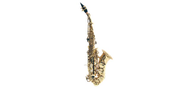 PLAYTECH ( プレイテック ) >カーブドソプラノサックス PTSS-200C 送料無料 | サウンドハウス