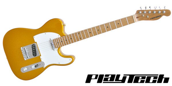 PLAYTECH ( プレイテック ) TL280 Gold 【カーボナイズド・メイプルネック】 送料無料 | サウンドハウス