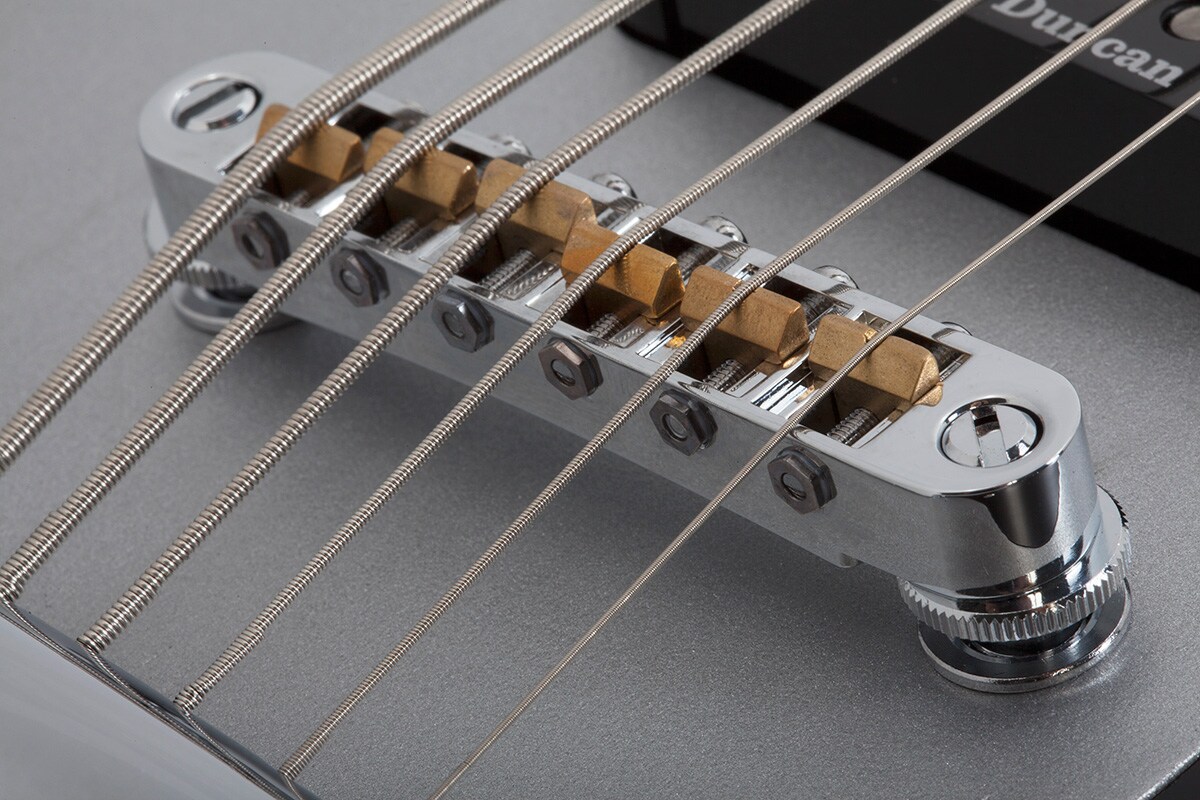 SCHECTER ( シェクター ) Robert Smith UltraCure VI Silver Burst Pearl 送料無料 ...