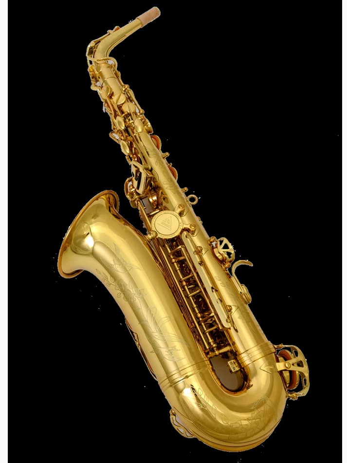 VICTORY MUSICAL INSTRUMENTS VSAX-RAGL Alto Saxophone Gold Lacquer 送料無料 ...